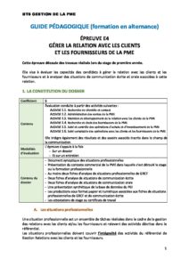 Guide pédagogique : Formation alternance épreuve E4 - GPME
